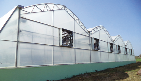 Sitara Hydronutri - Premium Hydroponic Farming Solutions & Fresh ...